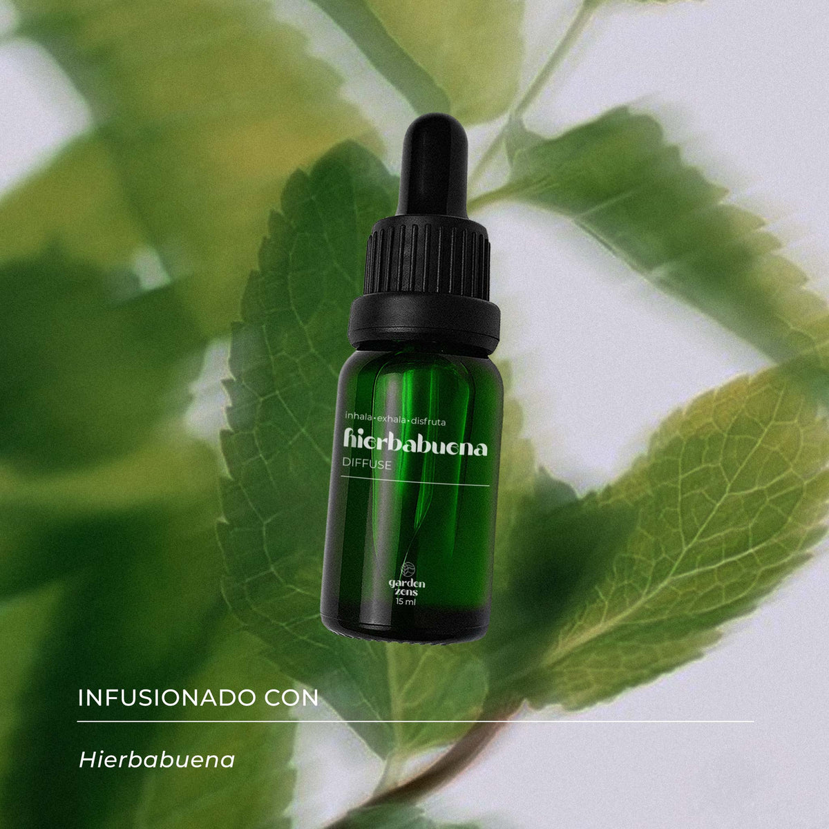 Hierbabuena – Garden Zens